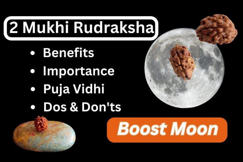 2 Mukhi Rudraksha: Benefits And Puja Vidhi - Zodiac Ratna